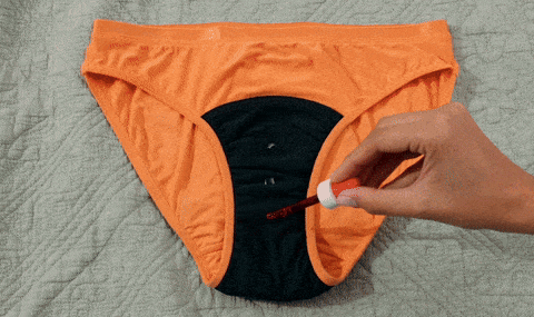 Fear Not – Modibodi UK